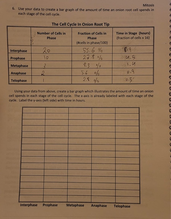 Solved Mitosis 6. Use your data to create a bar graph of the | Chegg.com