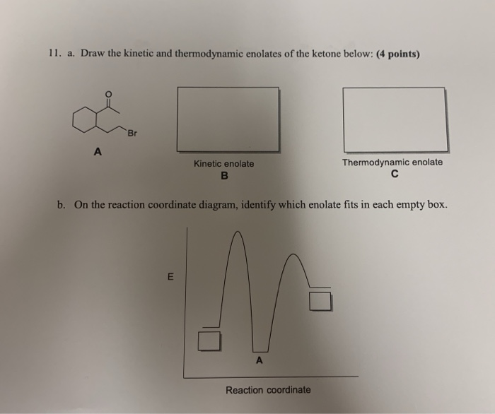 Solved 11. a. Draw the kinetic and thermodynamic enolates of | Chegg.com