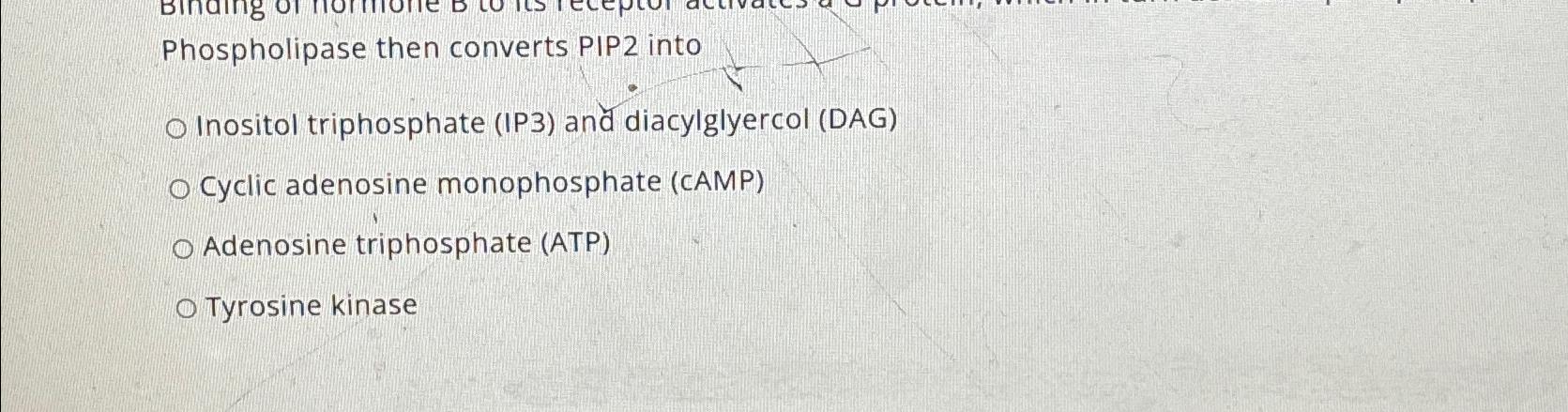 Solved Phospholipase then converts PIP2 ﻿intoInositol | Chegg.com