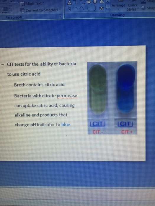 Exercise 8 Use of the API 20E System to Identify Gram | Chegg.com