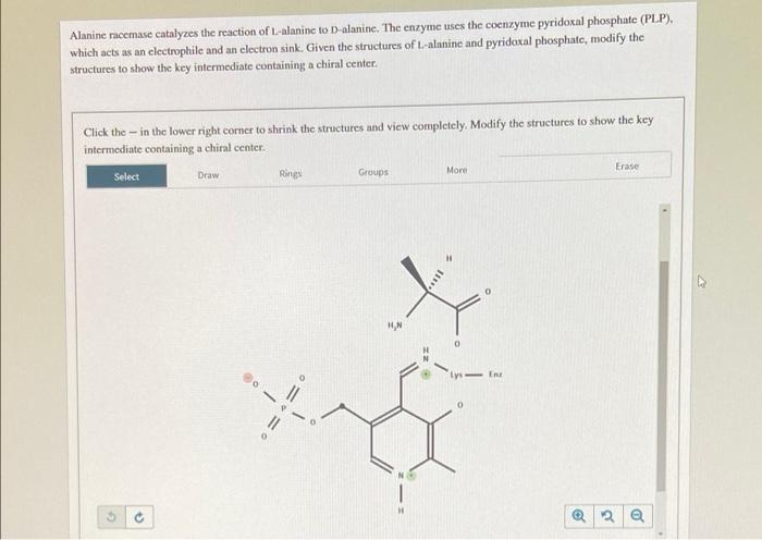 Solved Alanine racemase catalyzes the reaction of L-alanine | Chegg.com