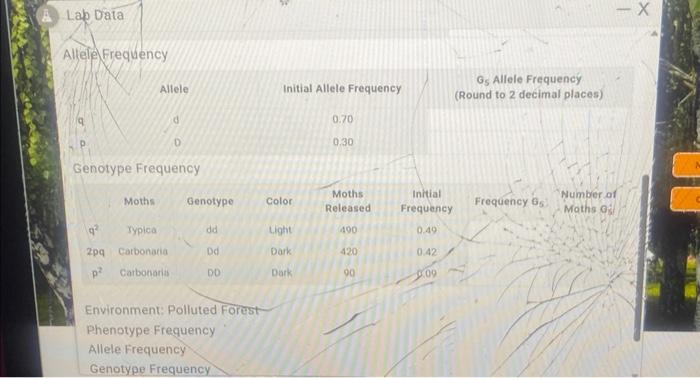 Solved Is 7 ss the correct phenotype frequency? Prenotype | Chegg.com