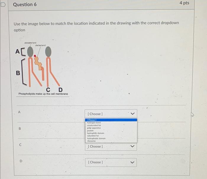 Solved Use the image below to match the location indicated | Chegg.com