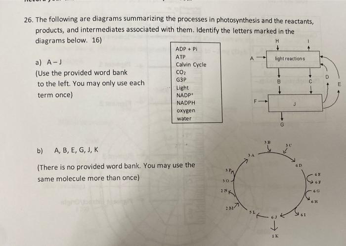 Solved 26. The following are diagrams summarizing the | Chegg.com