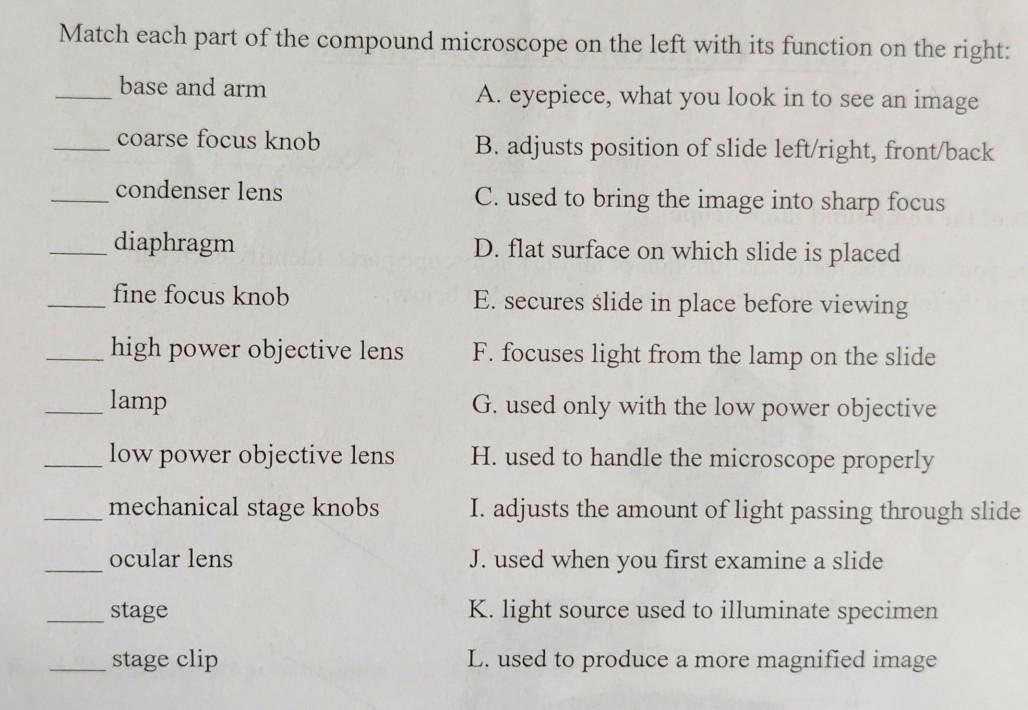 Solved Match each part of the compound microscope on the | Chegg.com