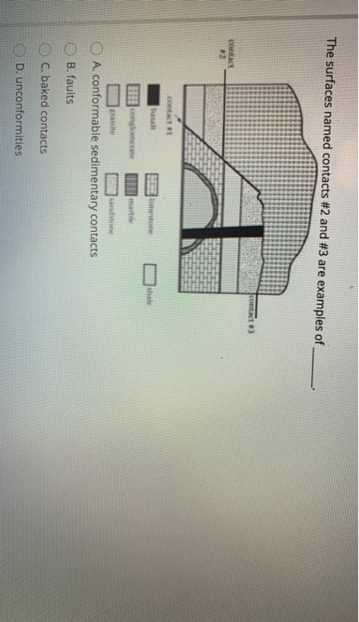 Solved The surfaces named contacts #2 and #3 are examples of | Chegg.com