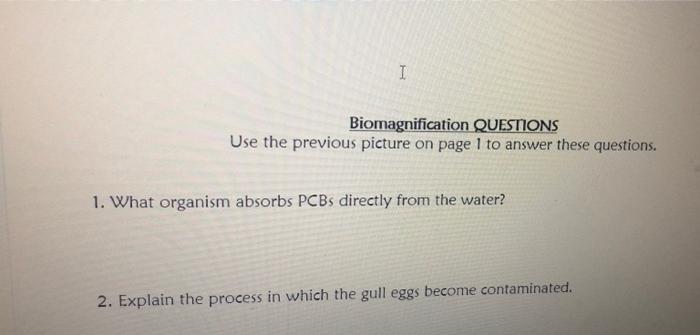 Solved I Biomagnification QUESTIONS Use the previous picture | Chegg.com