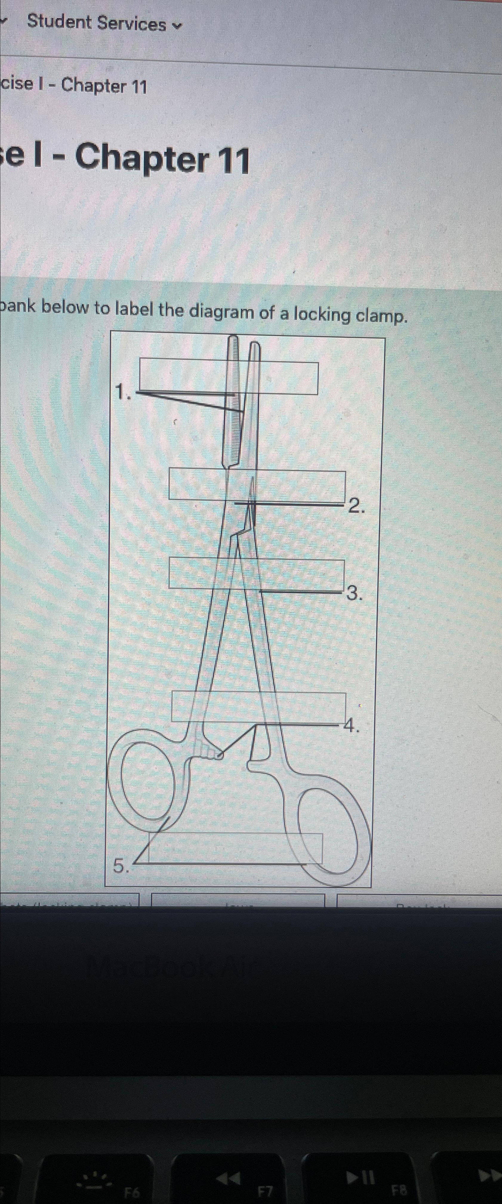 Solved Student Services cise I - ﻿Chapter 11I - ﻿Chapter | Chegg.com