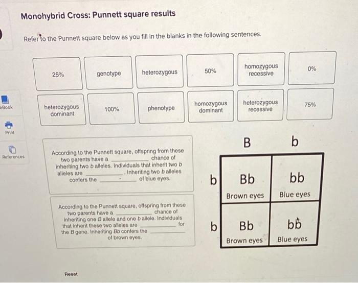 Solved Monohybrid Cross: Punnett square results Refer to the | Chegg.com
