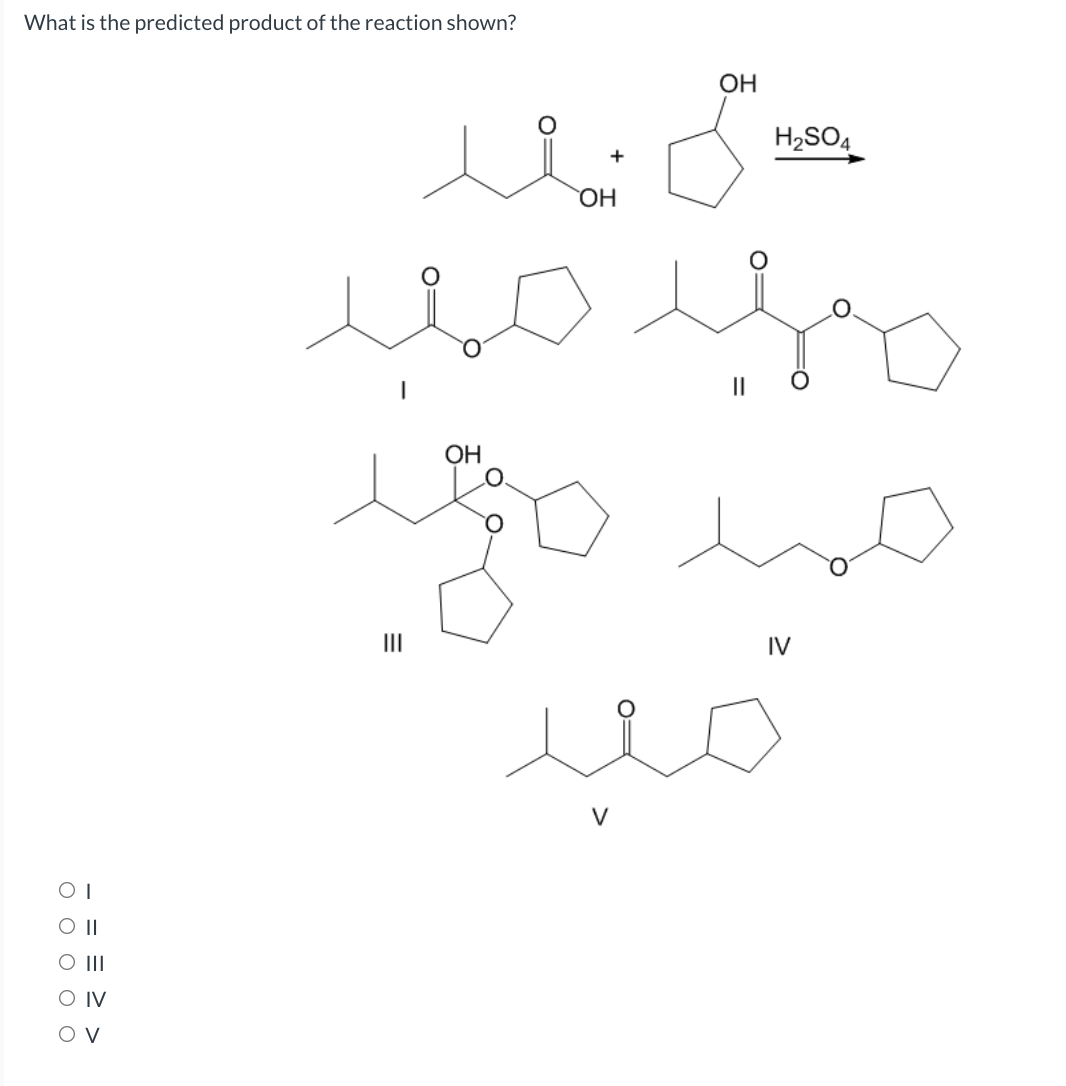 Solved What is ﻿the predicted product of ﻿the reaction | Chegg.com