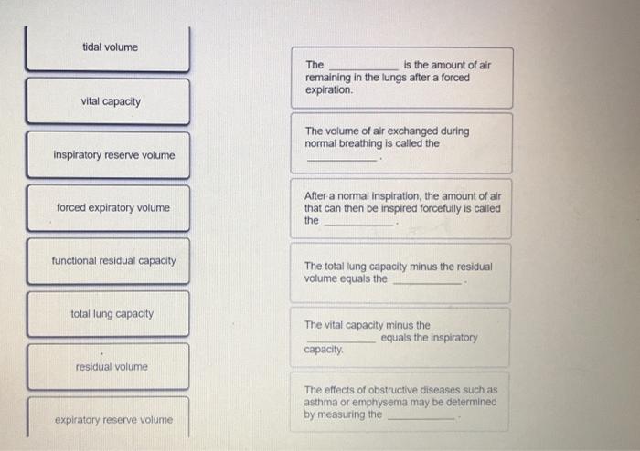 Solved tidal volume The Is the amount of air remaining in | Chegg.com