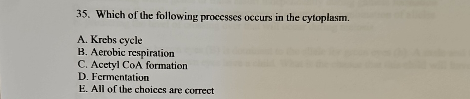 Solved Which of the following processes occurs in the | Chegg.com