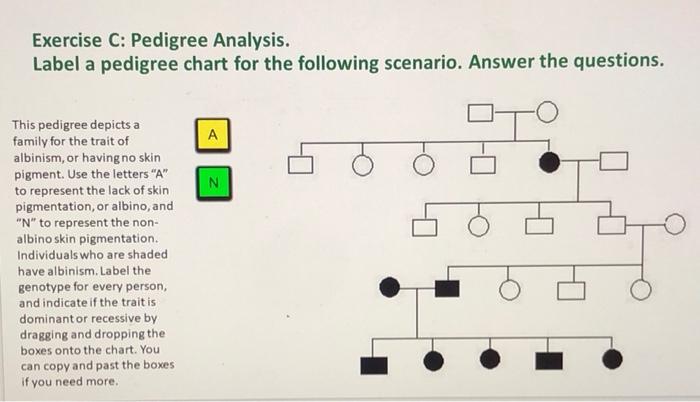 Solved Exercise C: Pedigree Analysis. Label a pedigree chart | Chegg.com