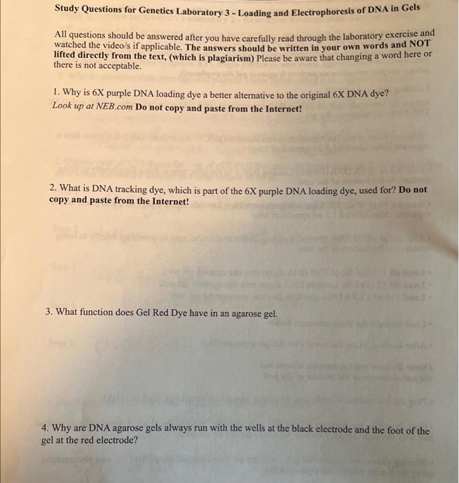 Solved All questions should be answered after you have | Chegg.com
