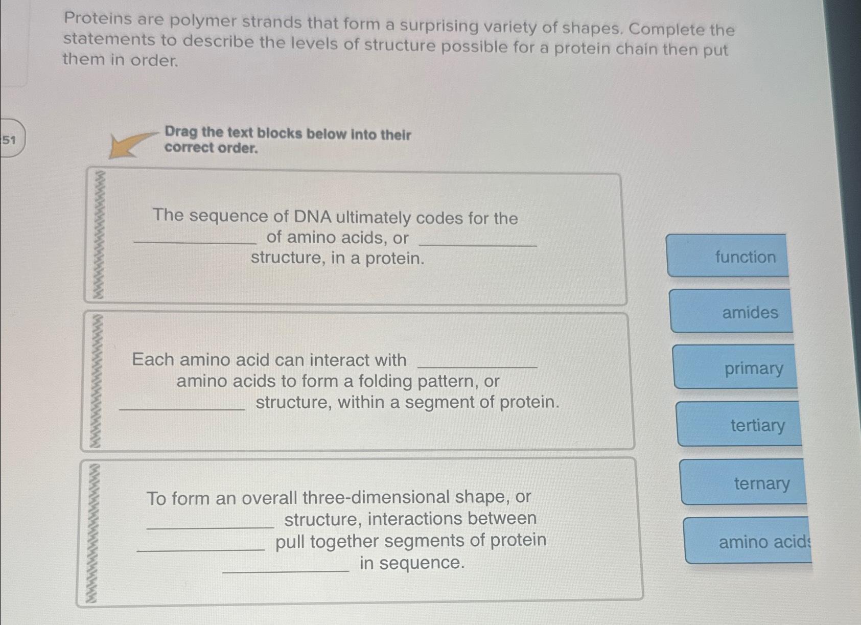 Solved Proteins are polymer strands that form a surprising | Chegg.com