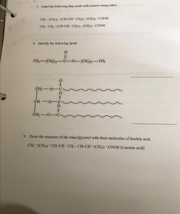 Solved 7. Label the following fatty acids with correct omega | Chegg.com
