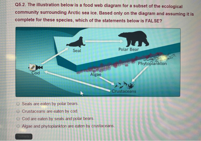 Solved: Q5.2. The Illustration Below Is A Food Web Diagram... | Chegg.com