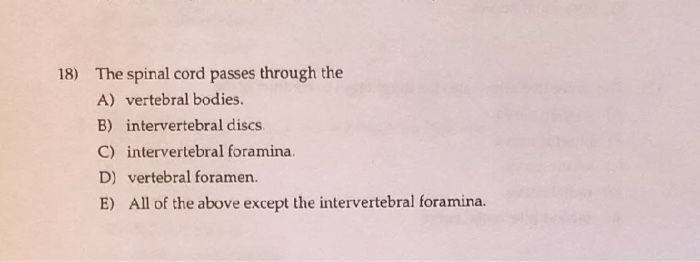 Solved 15) The endoneurium is the A) lining of the central | Chegg.com