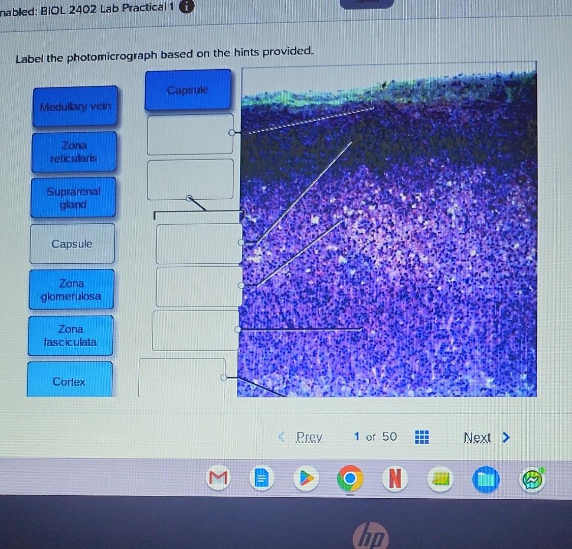 Solved hacad nn the hints provided. | Chegg.com