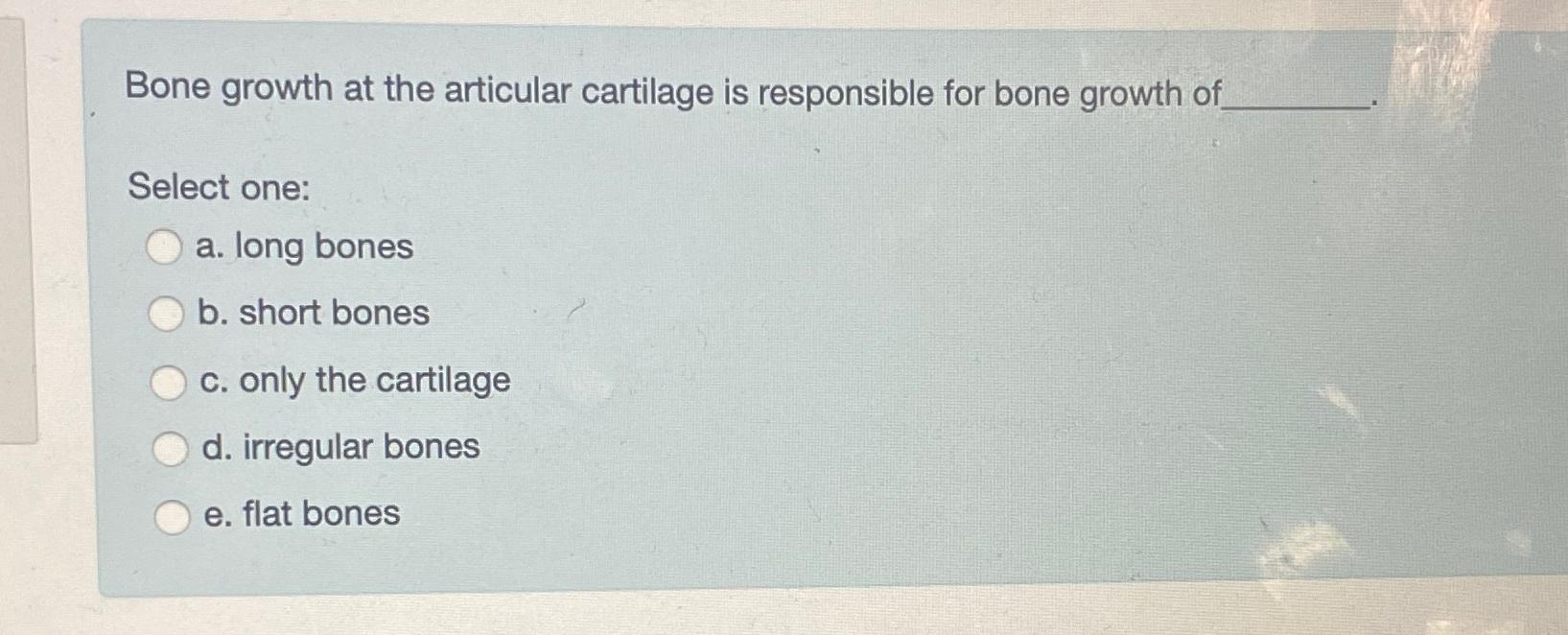 Solved Bone growth at the articular cartilage is responsible | Chegg.com