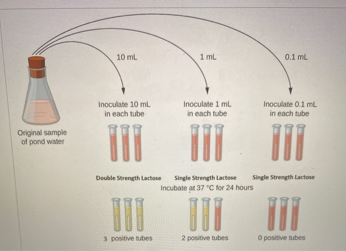Solved Instructions Milk and Water Testing In the United | Chegg.com