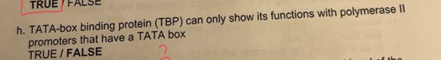 Solved h. ﻿TATA-box binding protein (TBP) ﻿can only show its | Chegg.com