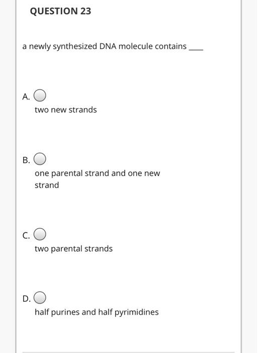 Solved DNA synthesis proceeds in the 5 prime >3 prime | Chegg.com