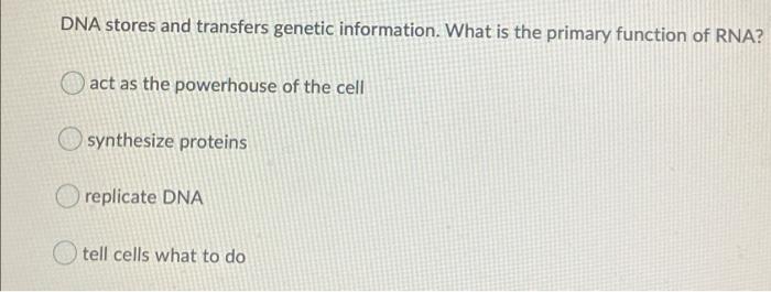 Solved DNA stores and transfers genetic information. What is | Chegg.com