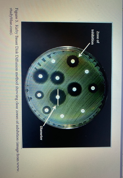 Solved ER Table 3. Disk Diffusion Zone of Inhibition | Chegg.com