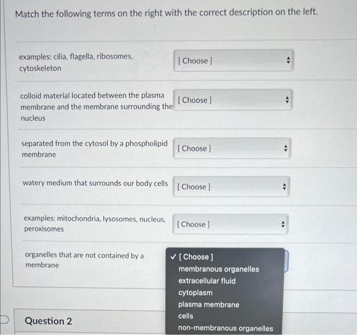 Solved Match the following terms on the right with the | Chegg.com