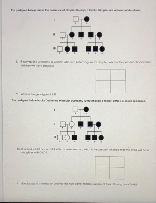 Solved The pedigree below tracks the presence of dimples | Chegg.com