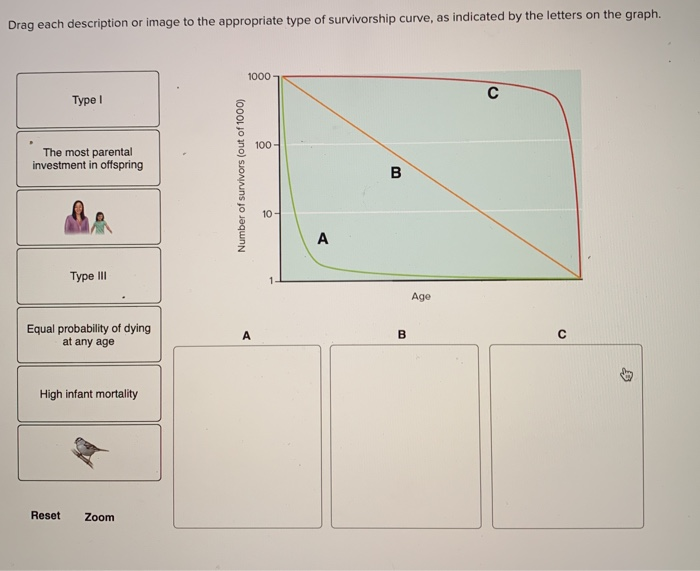 Solved Drag each description or image to the appropriate | Chegg.com