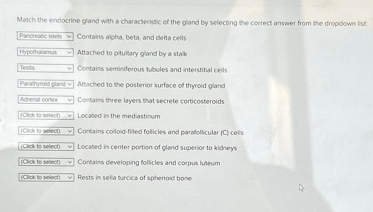 Solved Match the endocrine gland with a characteristic of | Chegg.com