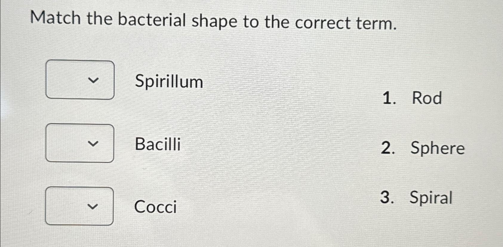 Solved Match the bacterial shape to the correct | Chegg.com