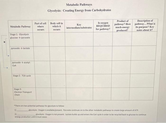 Solved Metabolic Pathways Glycolysis: Creating Energy from | Chegg.com