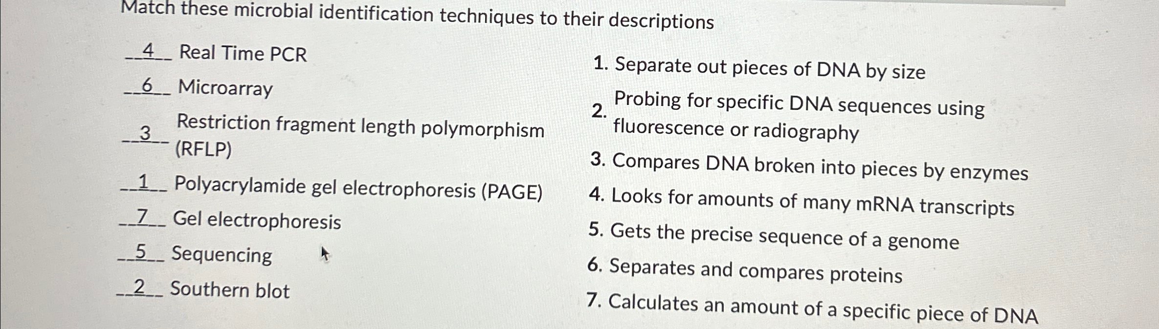 Solved Match these microbial identification techniques to | Chegg.com