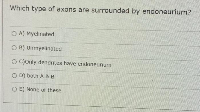Solved Which type of axons are surrounded by endoneurium? | Chegg.com