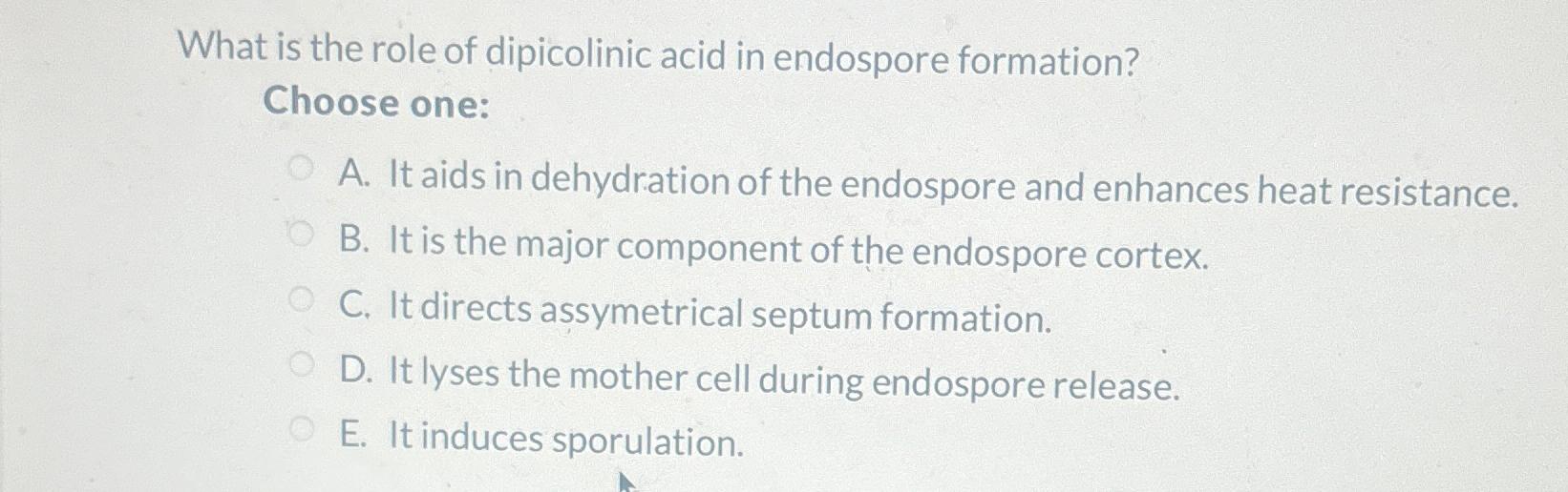 Solved What is the role of dipicolinic acid in endospore | Chegg.com