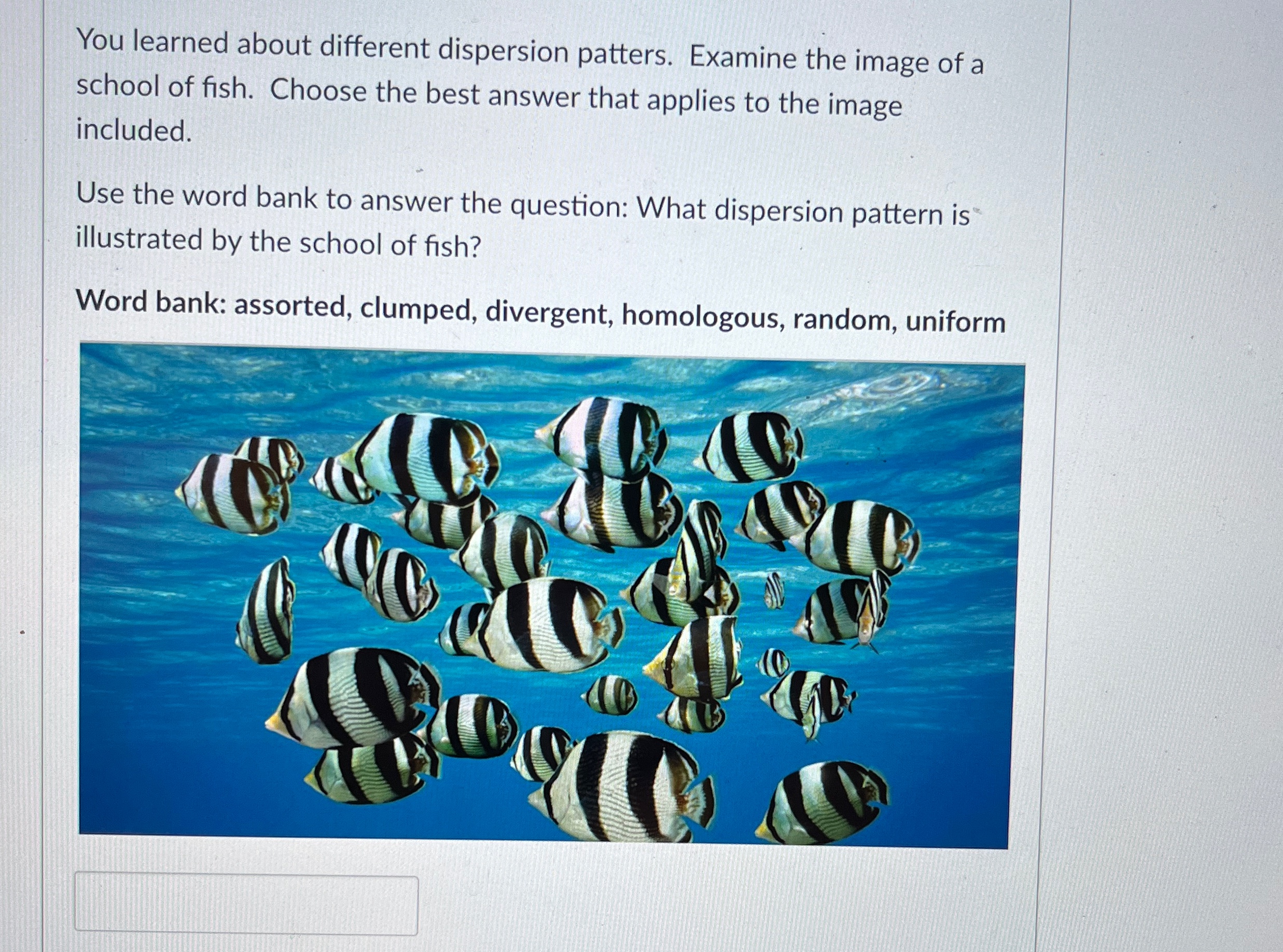 Solved You learned about different dispersion patters. | Chegg.com