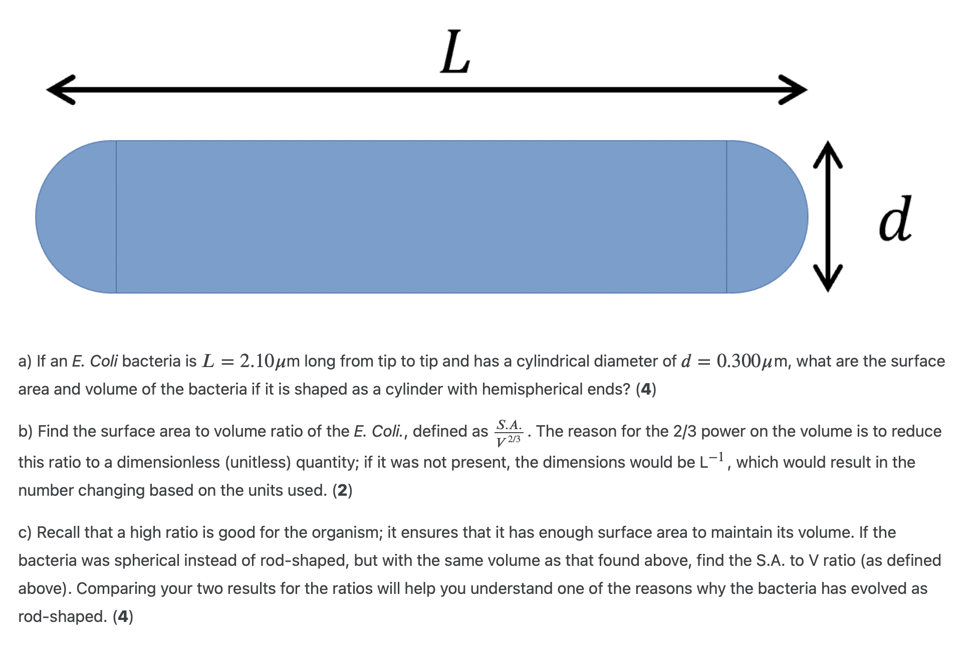 Solved \( ﻿L \)a) ﻿If an \( ﻿E \). ﻿Coli bacteria is \( | Chegg.com
