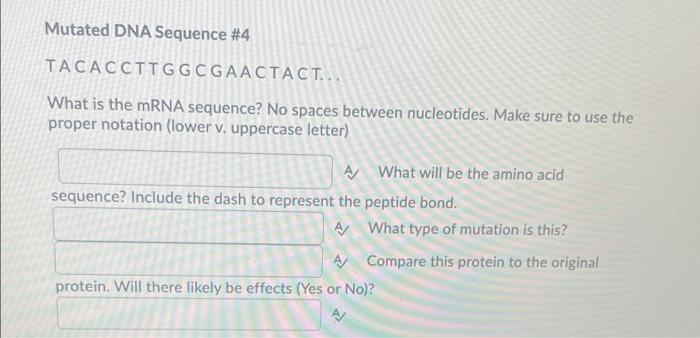 Solved original DNA sequences T A C A C C T T G G | Chegg.com