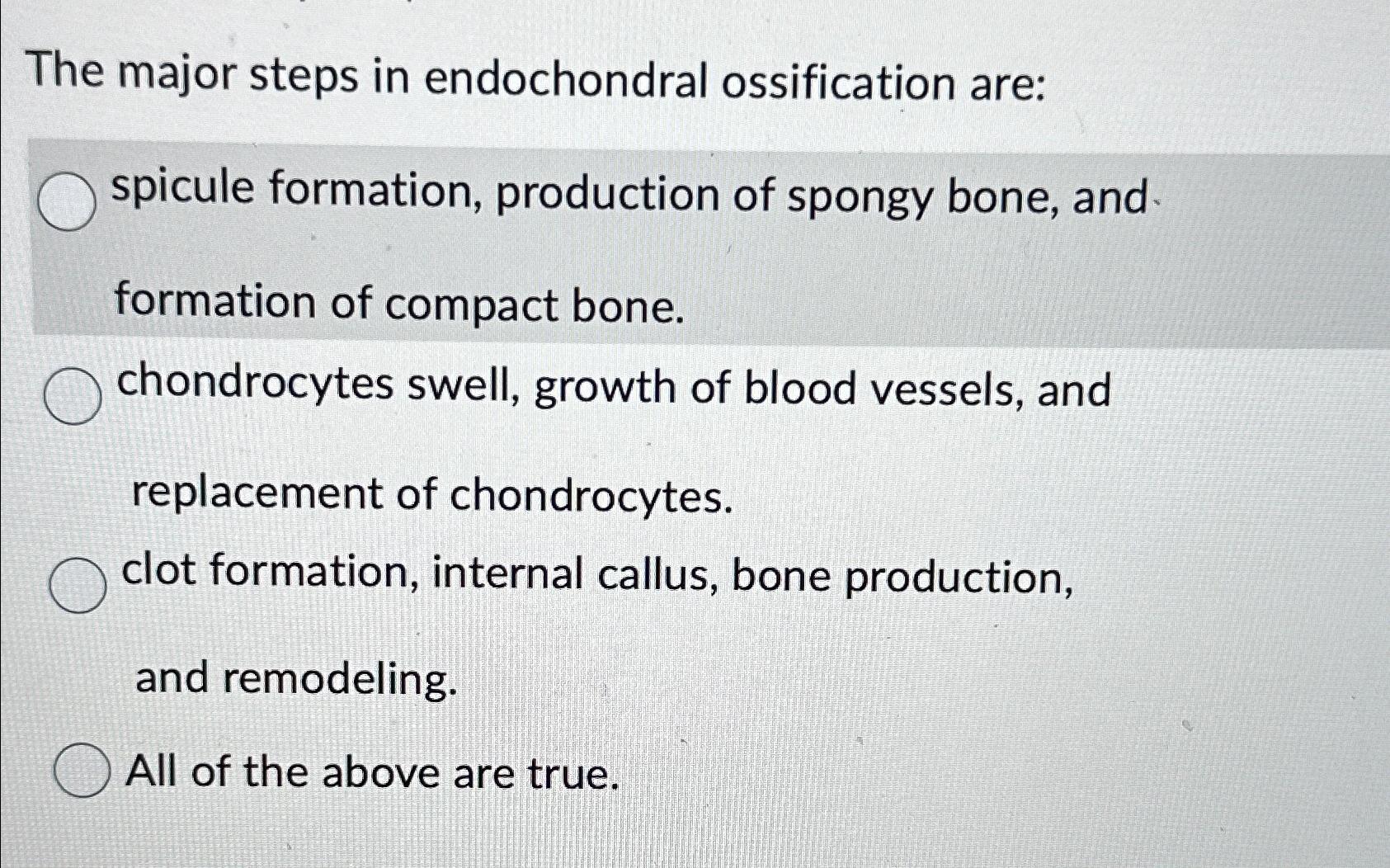 Endochondral Ossification Steps Endochondral Ossification Steps