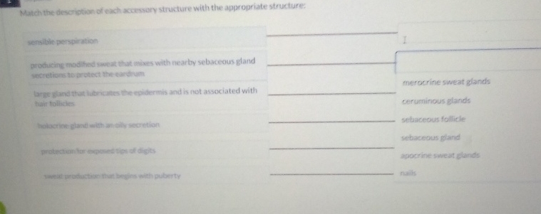 Solved How to solve Match the description of each accensony | Chegg.com