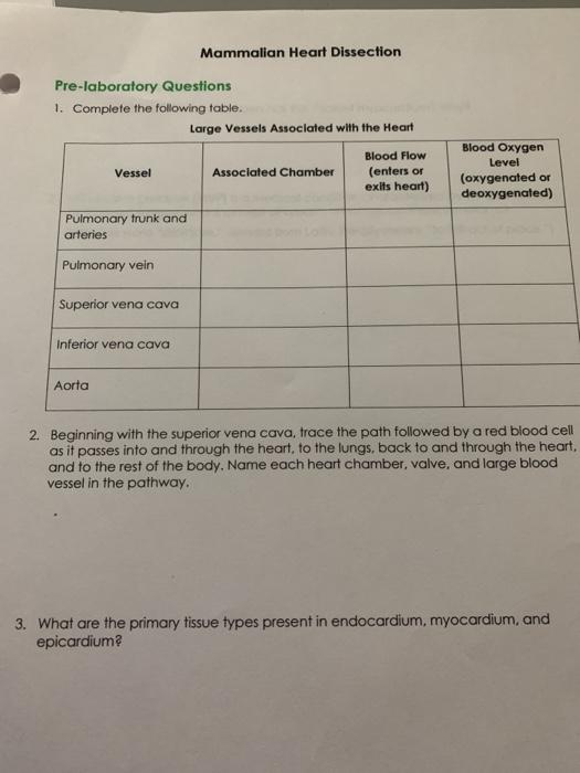Solved Mammalian Heart Dissection Pre-laboratory Questions | Chegg.com