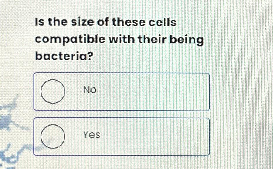 Solved Is the size of these cells compatible with their | Chegg.com