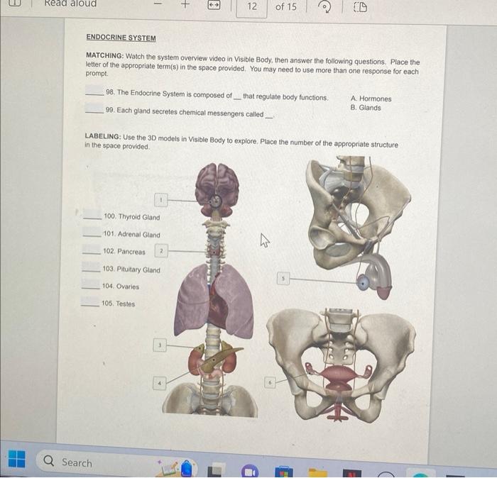 MATCHING: Watch the system overview video in Visible | Chegg.com