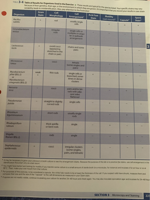 Solved DATA SHEET 3-12 Morphological Unknown OBSERVATIONS | Chegg.com