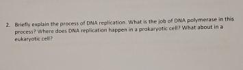 Solved Briefly explain the process of DNA replication. What | Chegg.com