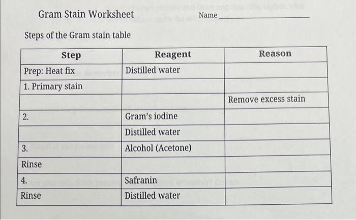 Solved Gram Stain Worksheet Steps of the Gram stain table | Chegg.com