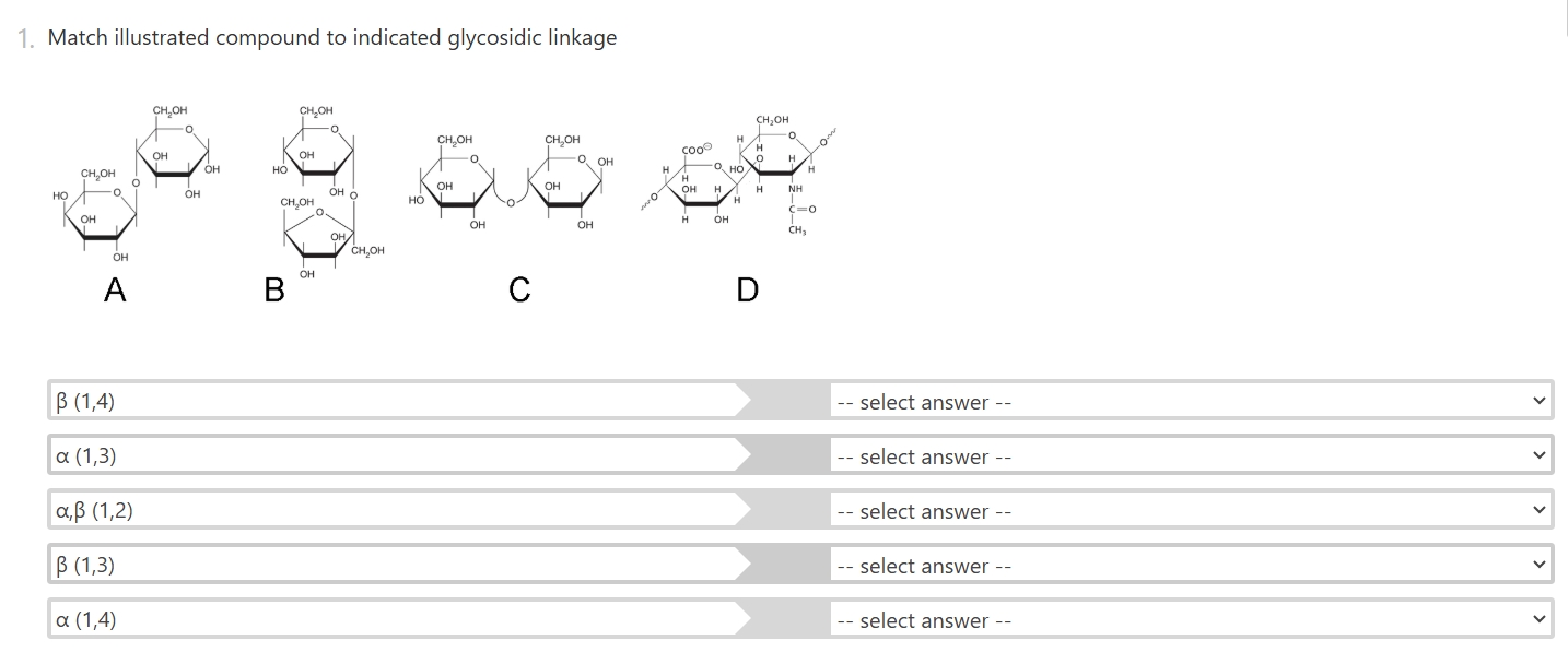 Solved 1. ﻿Match illustrated compound to indicated | Chegg.com